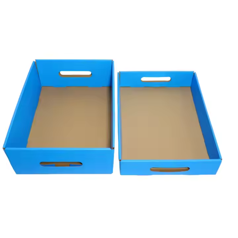 Custom Apple Tray Packaging