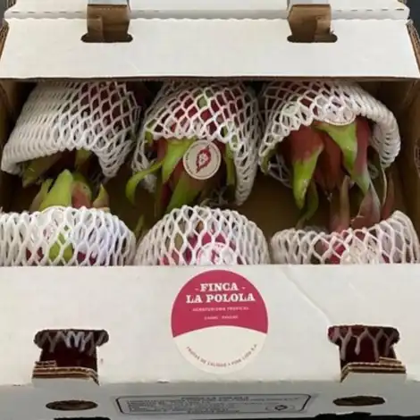 Custom Dragon Fruit Packaging