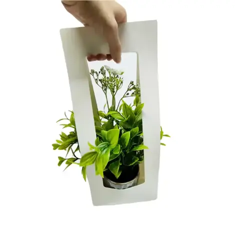 Custom Plant Packaging Boxes